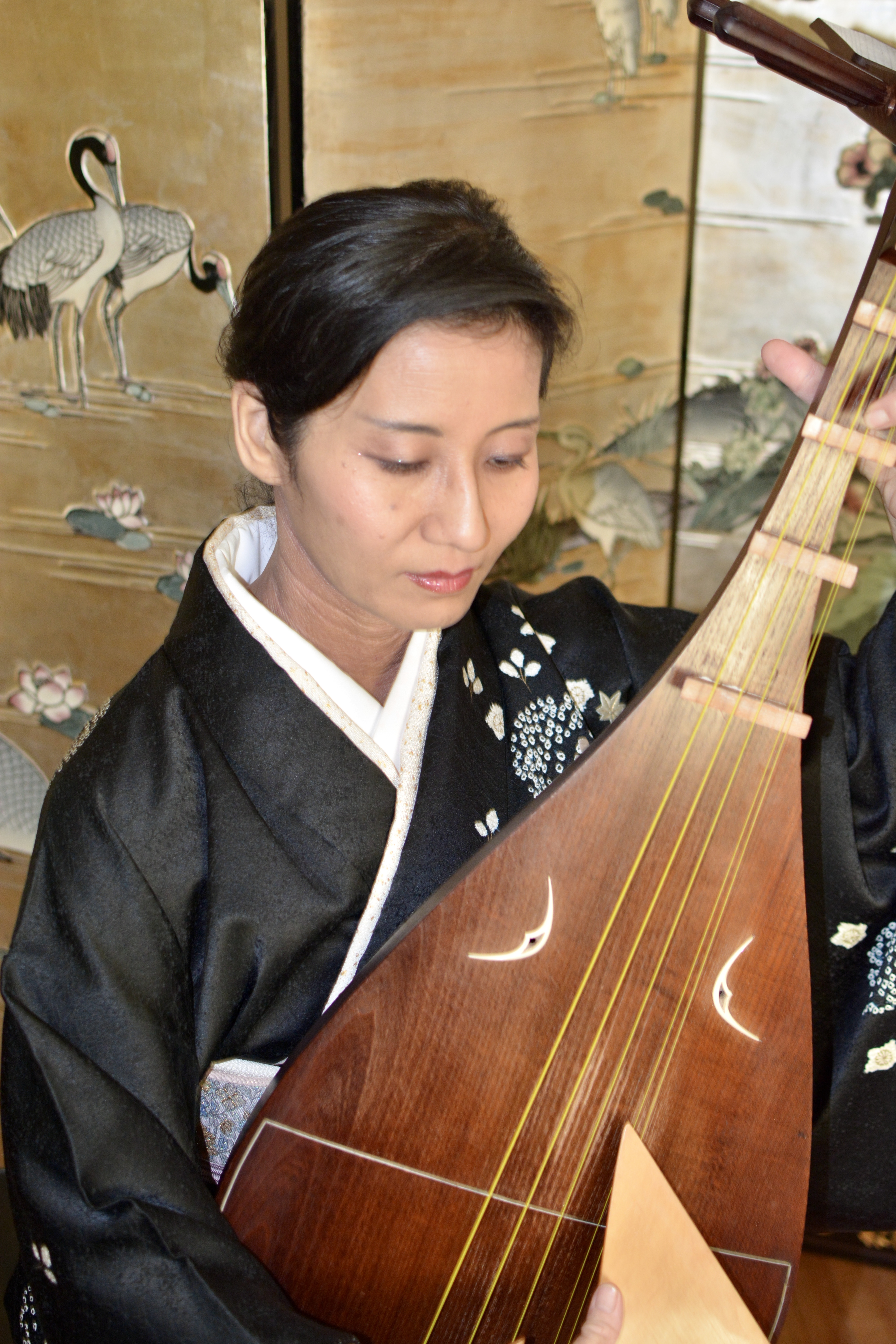 Profile – Voice, Wood, Silk Strings